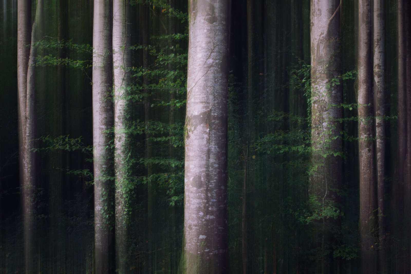 Max Malloy Landscapes – Max Malloy Landscapes